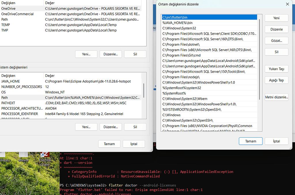 The Flutter device daemon cannot be started. Error: Unable to determine engine version... - Help ...